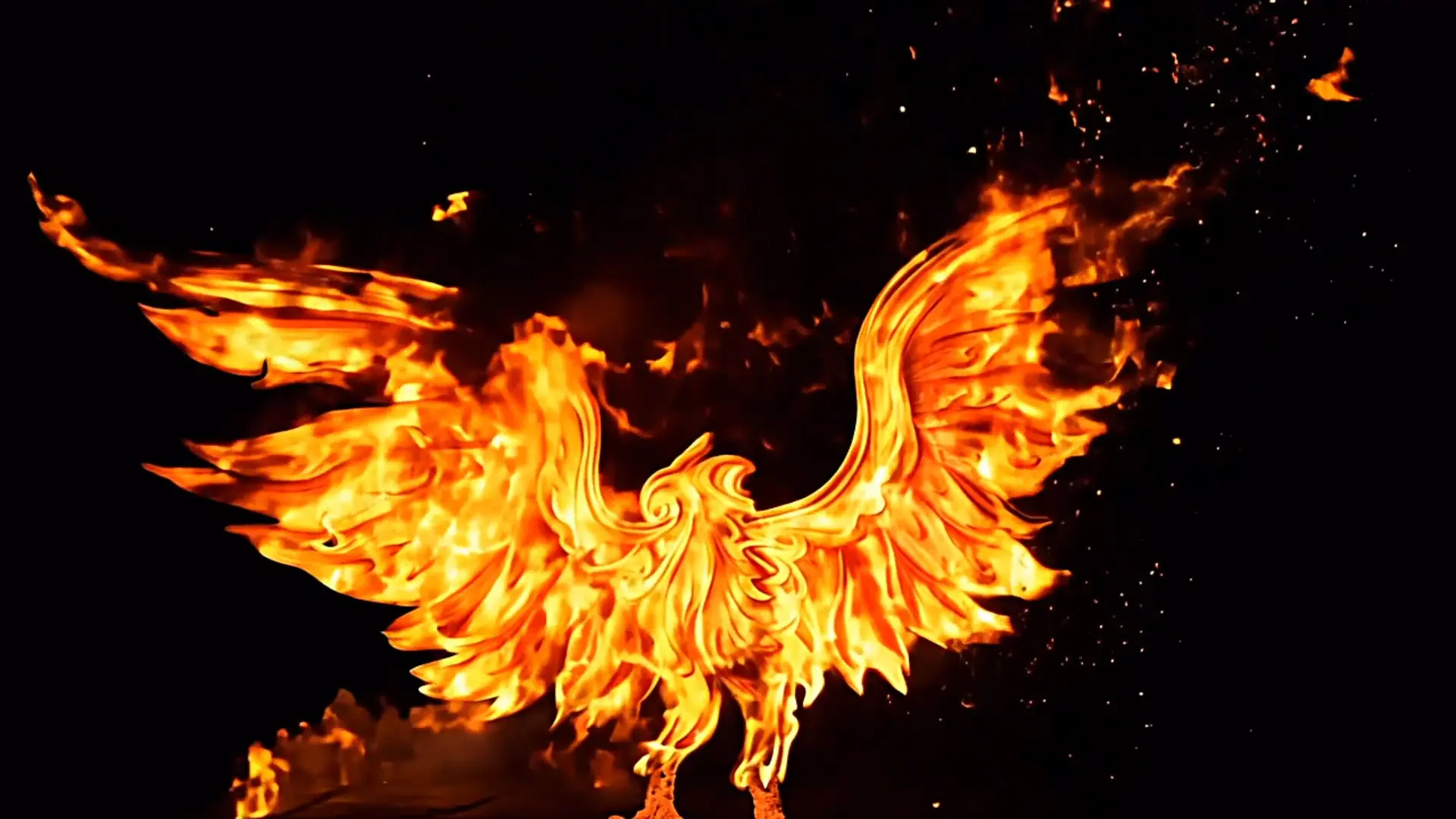 Fiery Phoenix Rise Background For Epic Logo Animation | Videos